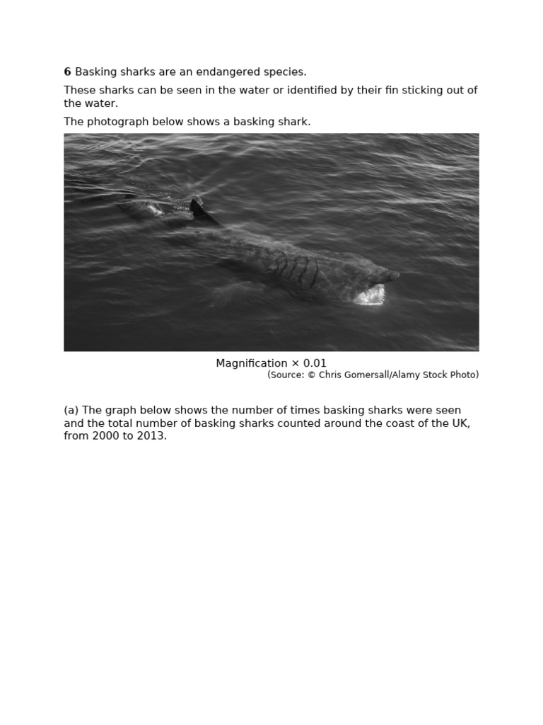 Basking sharks ecology | PDF | Sharks | Inbreeding