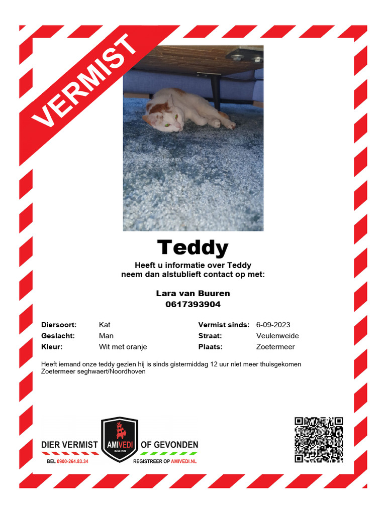 Teddy+ | PDF
