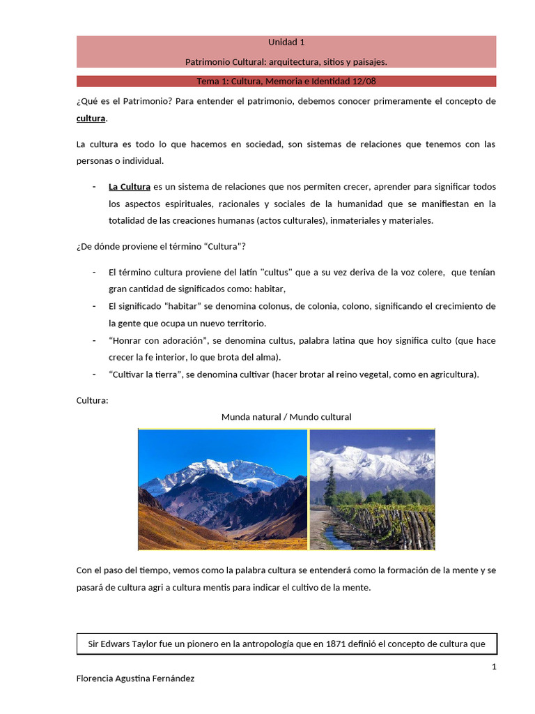 Patrimonio Cultural de Argentina | PDF | Patrimonio cultural
