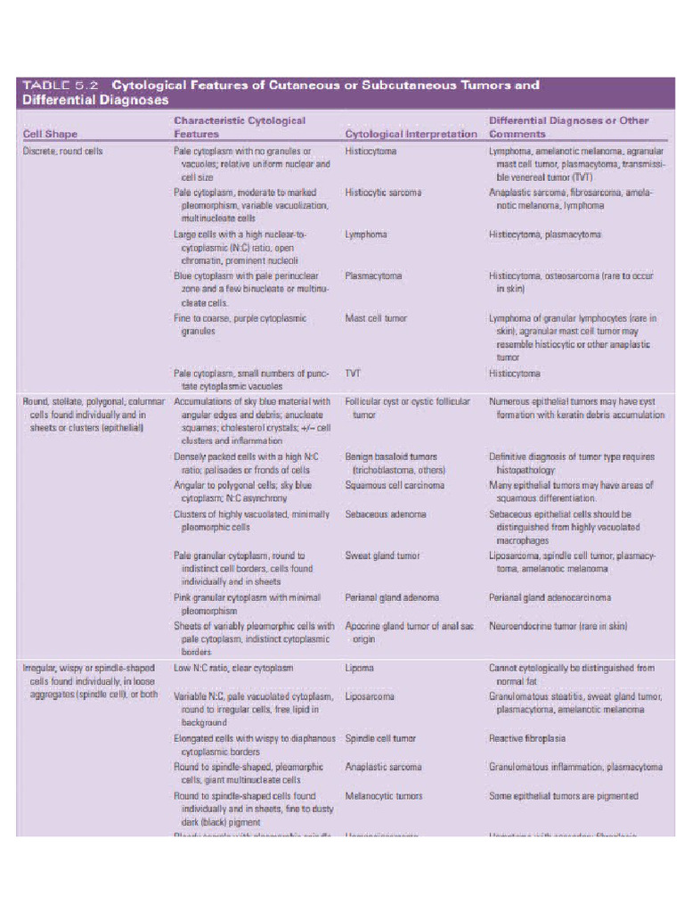 Diferenciais Cito | PDF