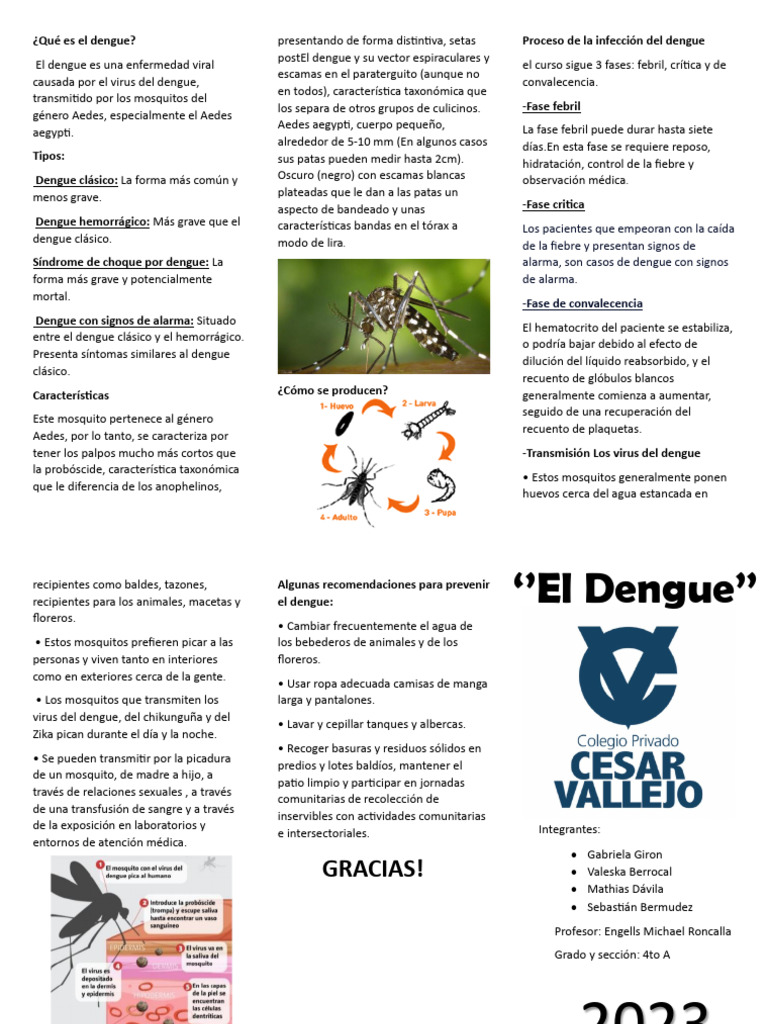 Triptico de Dengue | PDF | Ciencias de la Salud | Enfermedades y trastornos