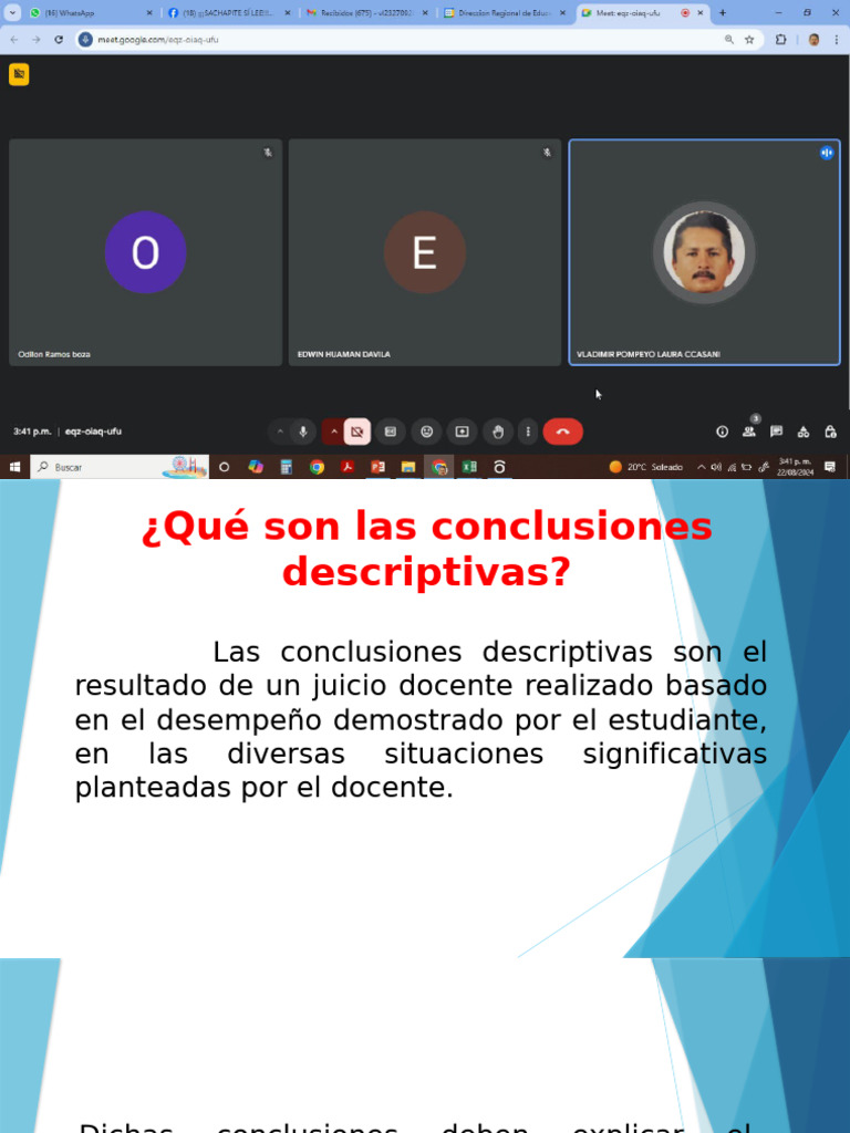 Conclusiones Descriptivas | PDF