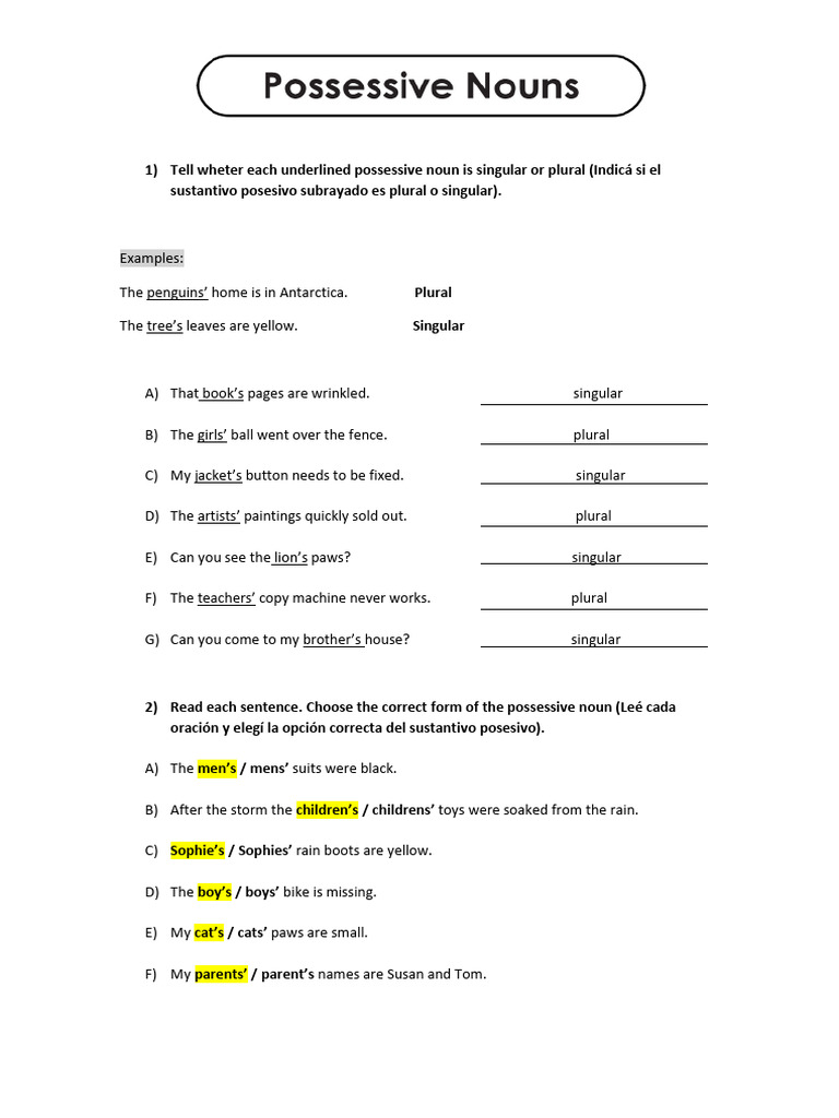 Possessive Nouns: Singular vs. Plural Guide | PDF