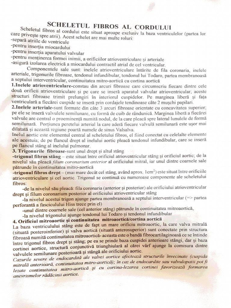 Curs 6 - Schelet Fibros Cord. Miocard | PDF