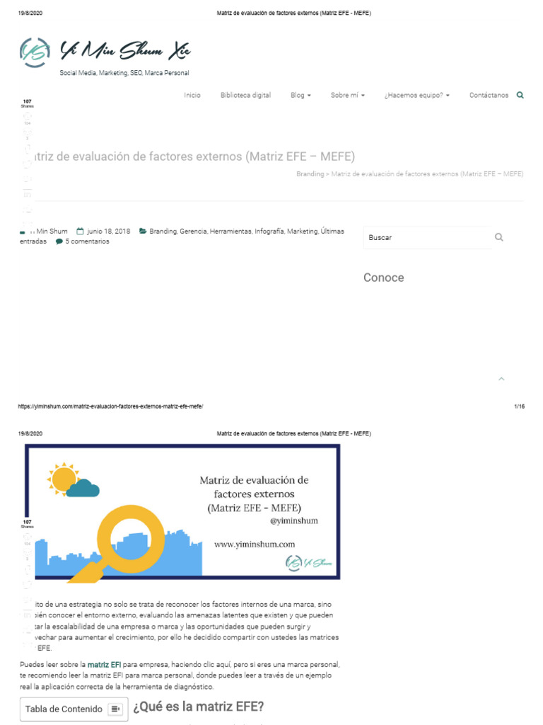 Matriz de evaluación de factores externos (Matriz EFE - MEFE) | PDF | Análisis FODA | Matriz ...