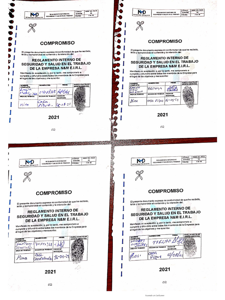 Entrega de Riist | PDF