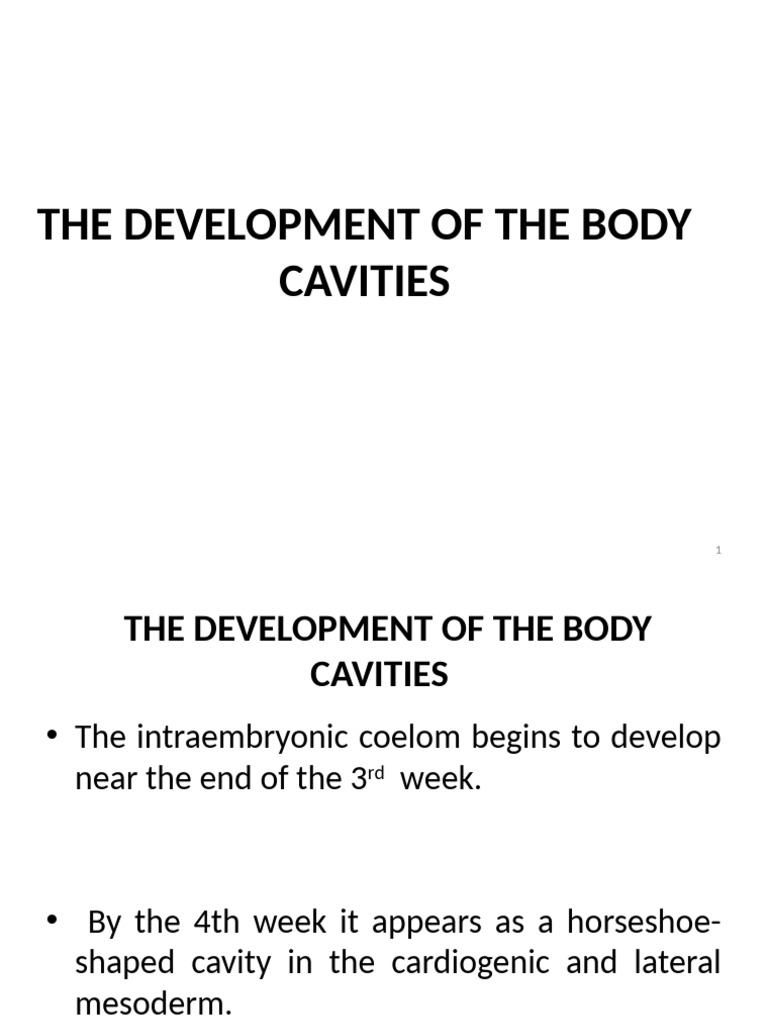 Development of Body Cavity | PDF | Peritoneum | Anatomy