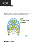 Costal Arch | PDF | Thorax | Thorax (Human Anatomy)