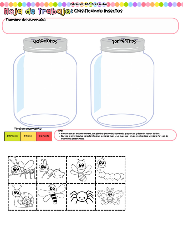 Clasificación de Insectos en Preescolar | PDF