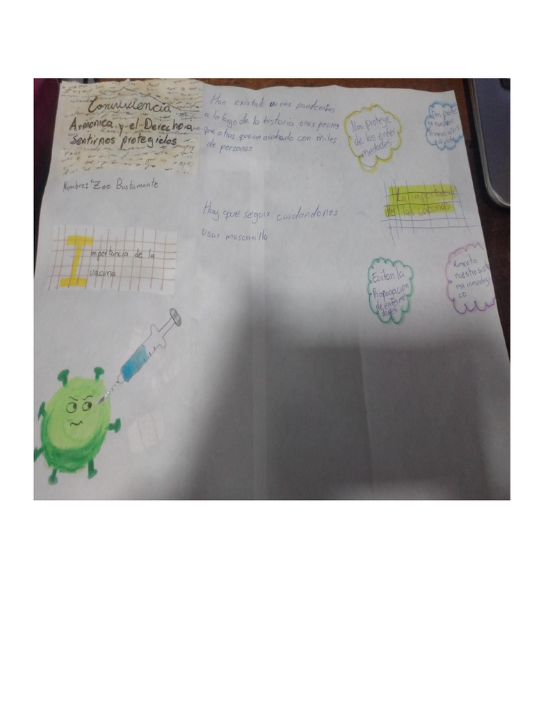 Proyecto de Zoé Bustamante 8vo B | PDF