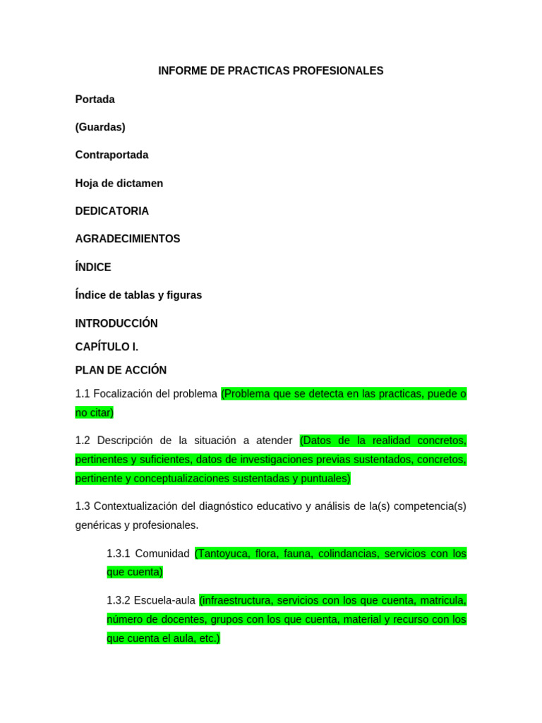 Estructura Metodologica Informe de Practicas Profesionales | PDF