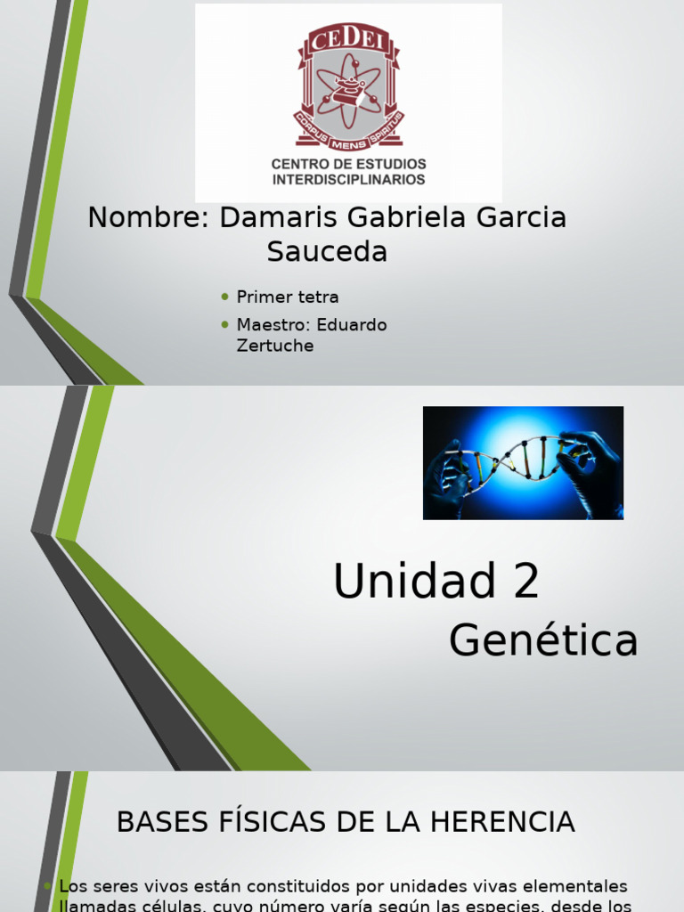 Unidad 2 Tarea | PDF | Alelo | Cigosidad