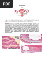 Ectopia Cervical: Definição e Tratamento | PDF | Câncer cervical ...