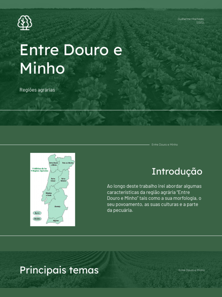Entre Douro e Minho | PDF | Agricultura