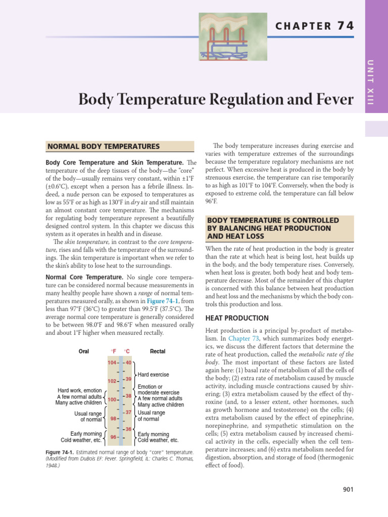 Body Temperature Regulation Explained | PDF | Perspiration ...