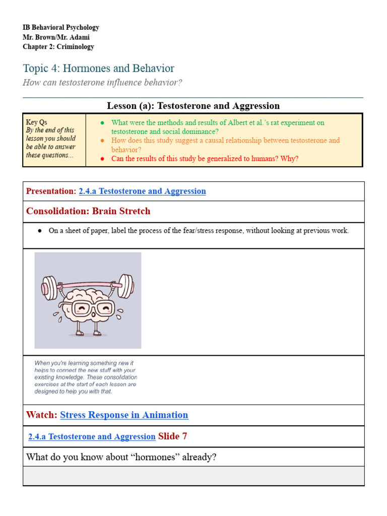 Testosterone's Role in Aggression Behavior | PDF | Testosterone ...