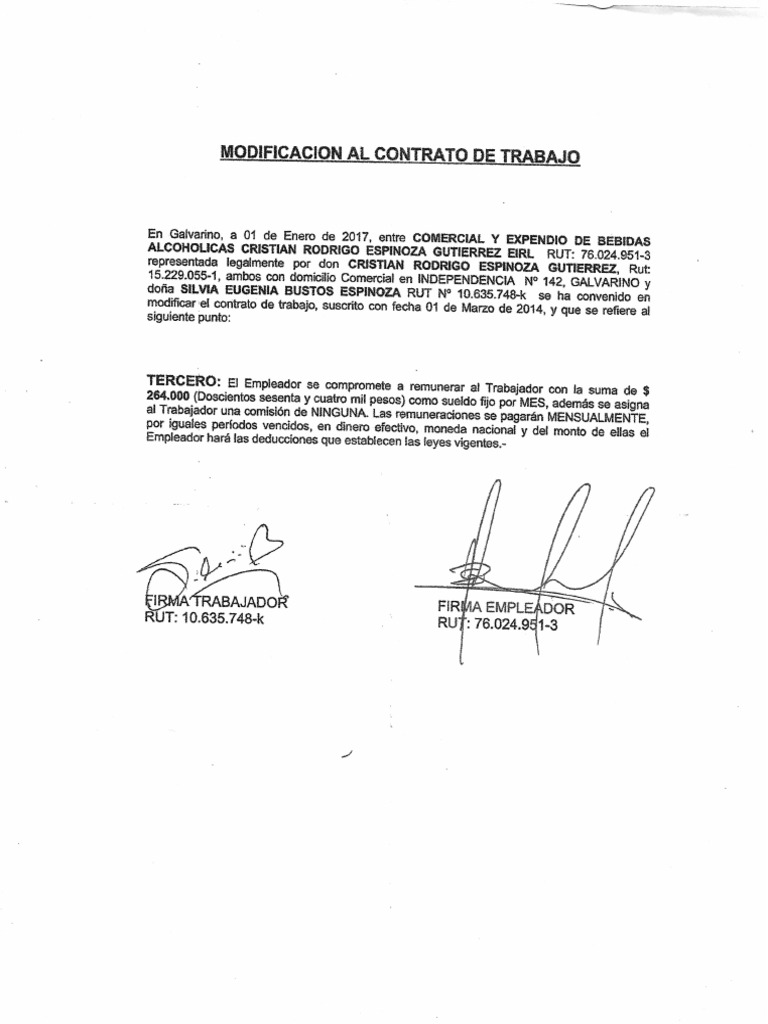 Anexo de Contrato Silvia Bustos | PDF