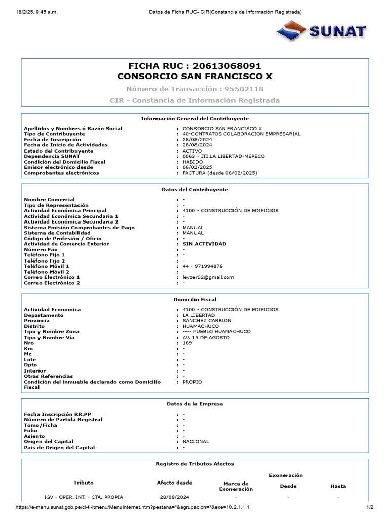 Sunat - Menú Sol SFX | PDF