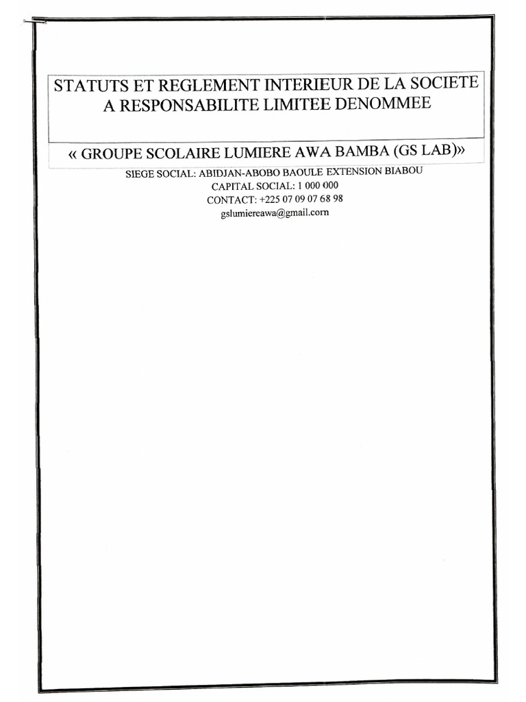 Statuts Et Reglements - Gs Lab | PDF