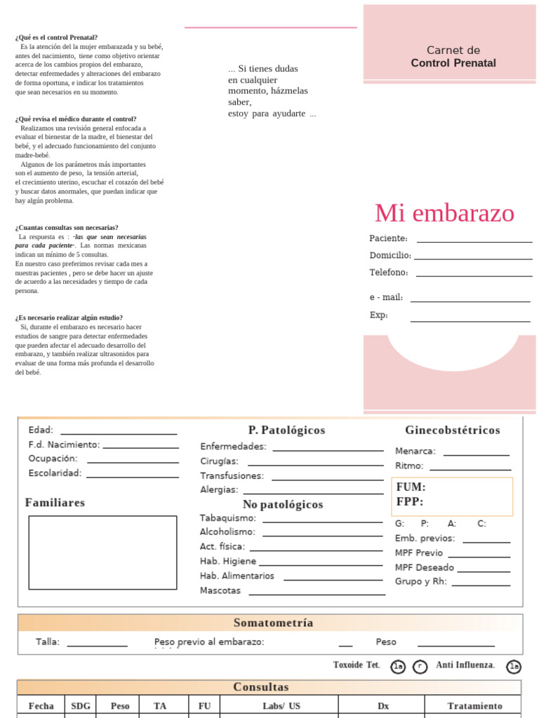 Carnet Del Embarazo | PDF | El embarazo | Especialidades Medicas