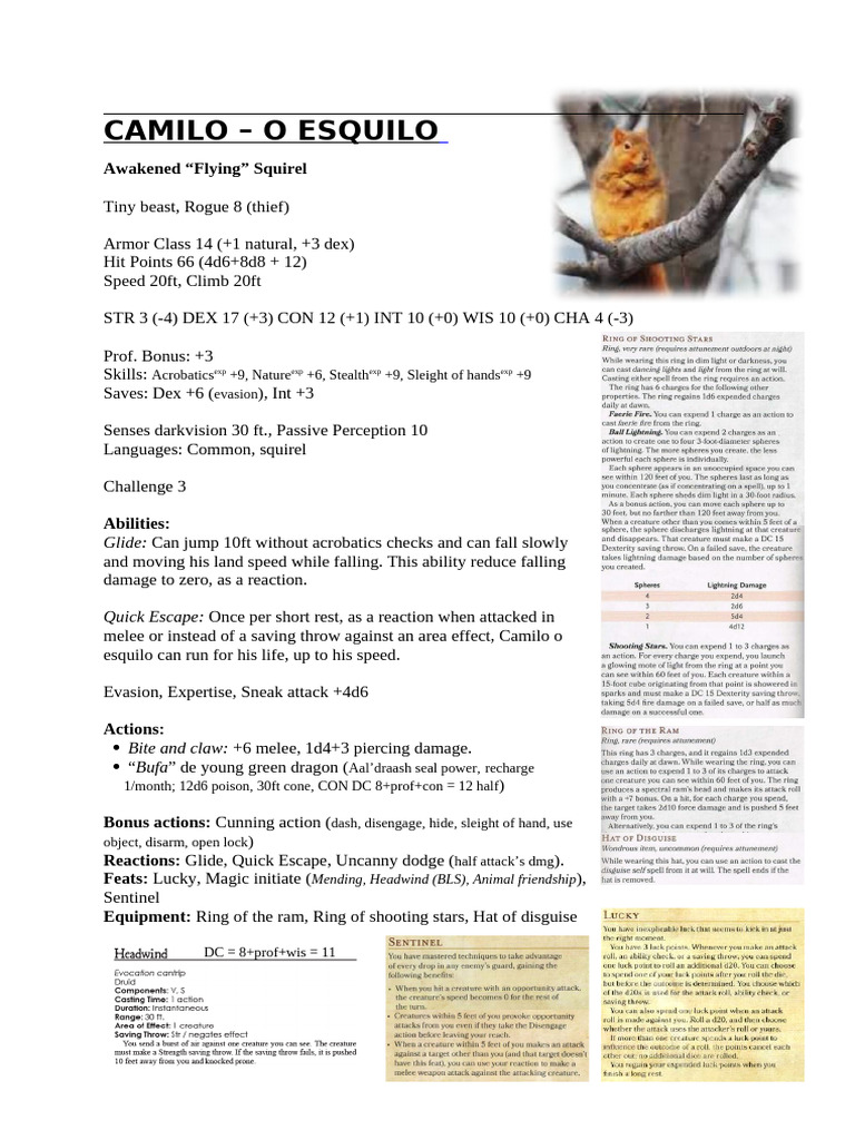 Flying Squirrel Rogue Character Stats | PDF