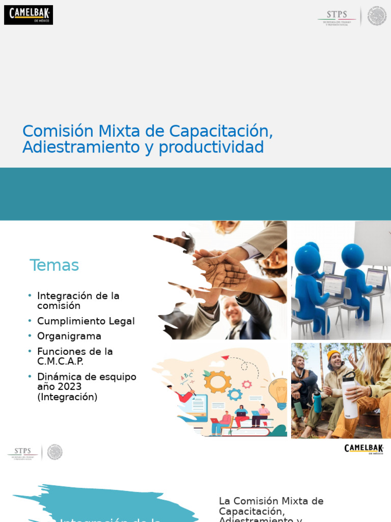 Comisión Mixta de Capacitación, Adiestramiento y Productividad | PDF