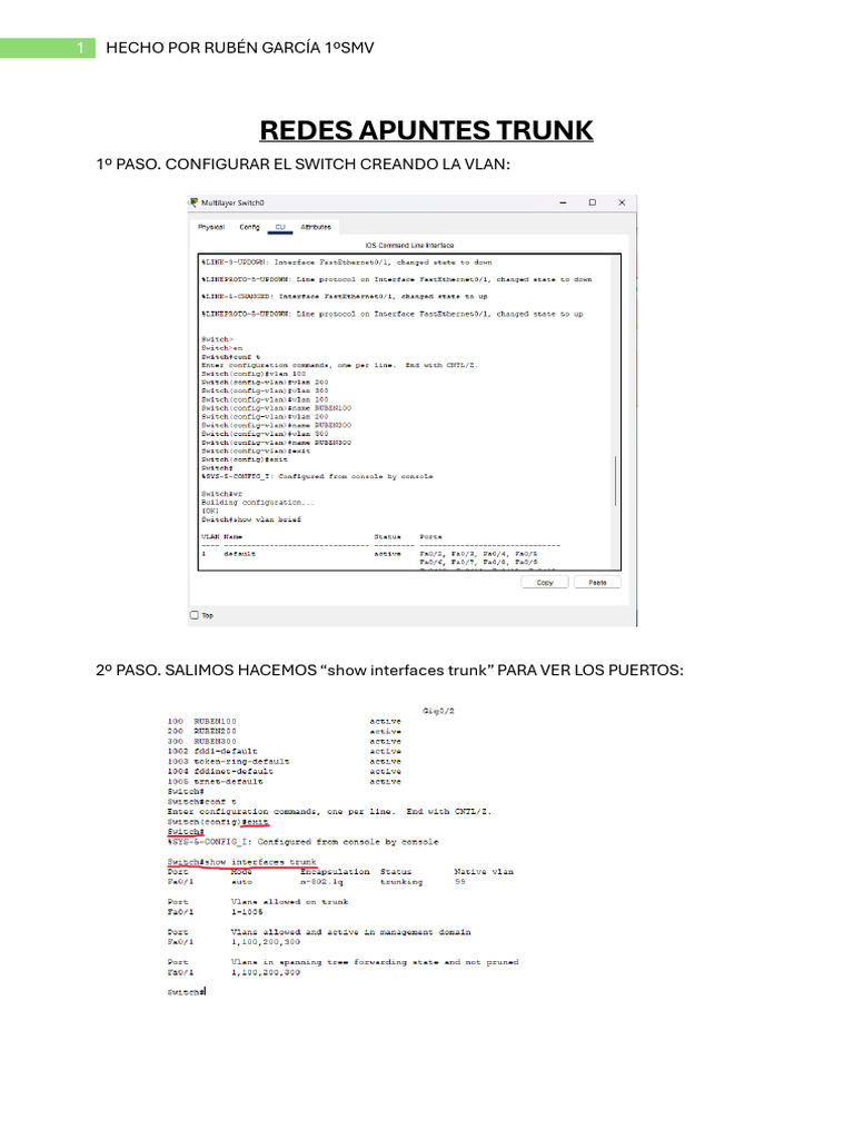 Chuletas Redes Trunk | PDF