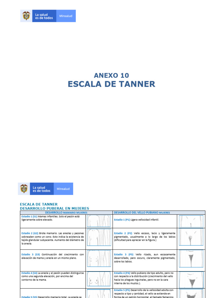 Escala De Tanner En Mujeres Y Hombres Pdf Pecho Características