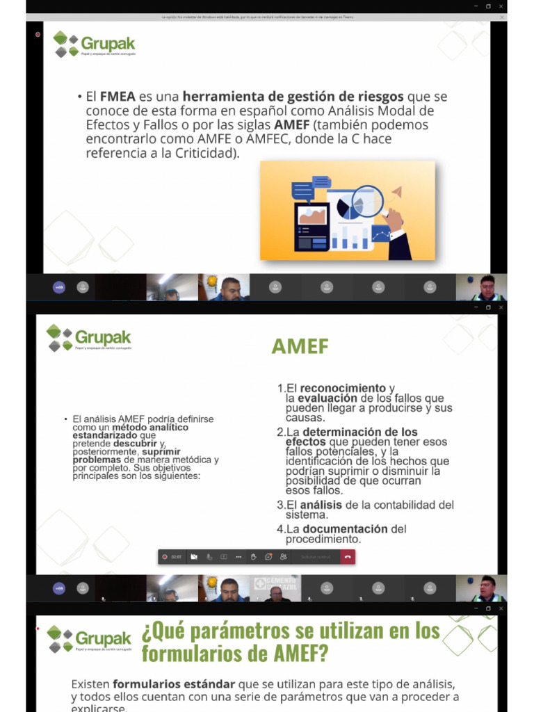 AMEF | PDF