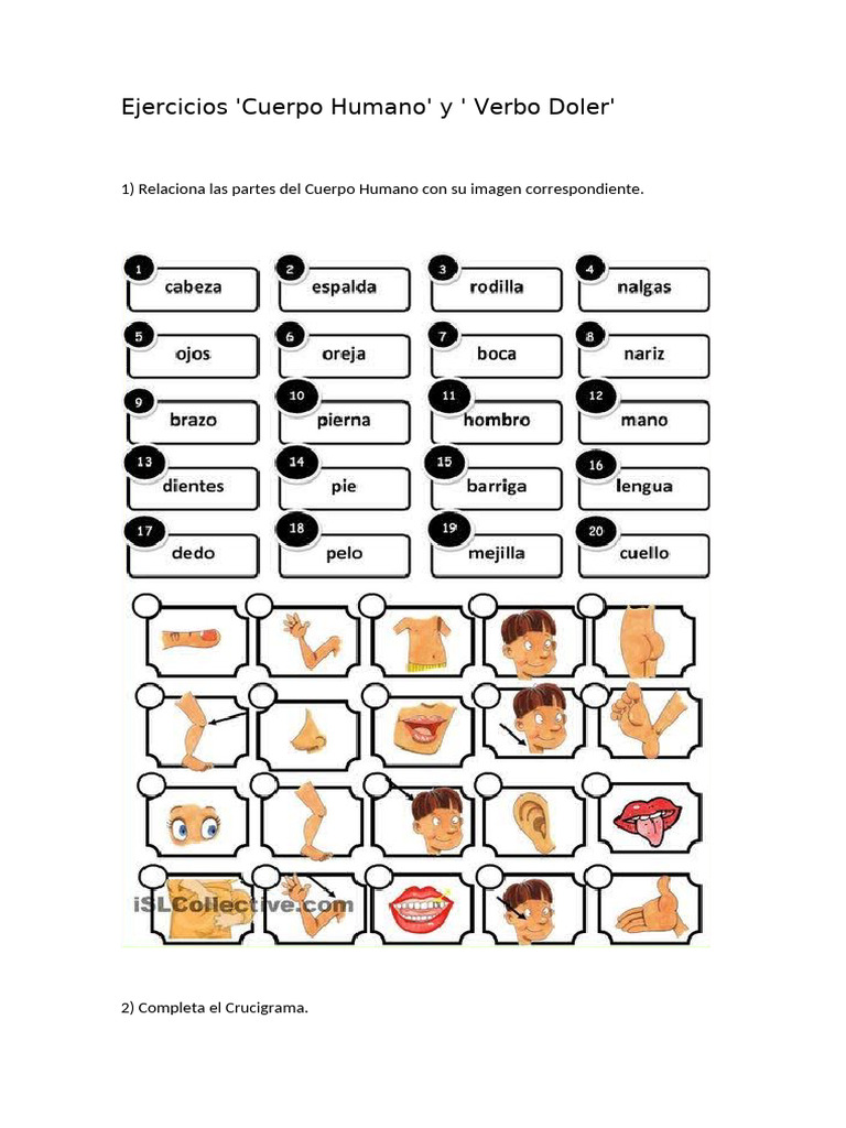 Ejercicios - Cuerpo Humano y Verbo Doler | PDF