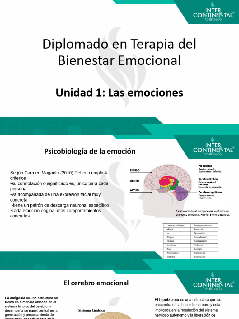 Terapia Del Bienestar Emocional | PDF | Desorden hiperactivo y deficit de atencion | Las emociones