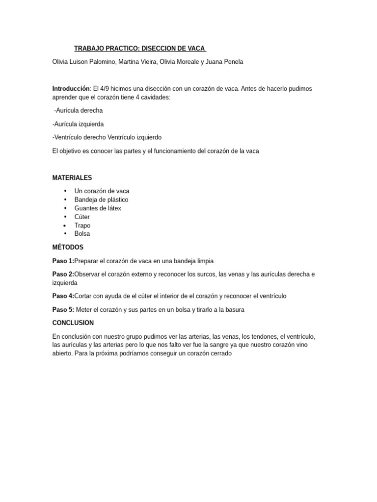 Diseccion de Corazón de Vaca | PDF