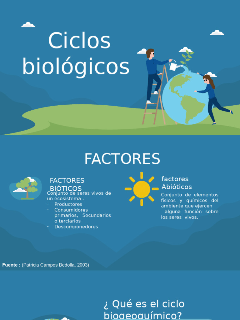 Ciclo Biologico | PDF