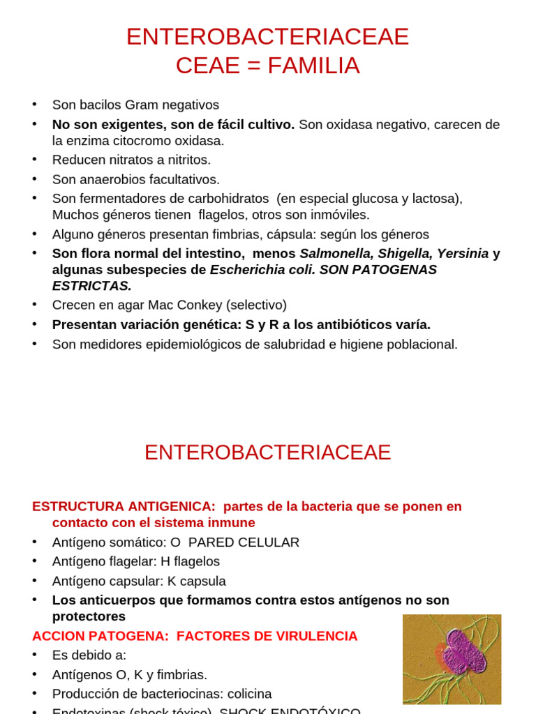 Tema #22 Enterobacteriaceae y Salmonella | PDF | Salmonela | Diarrea