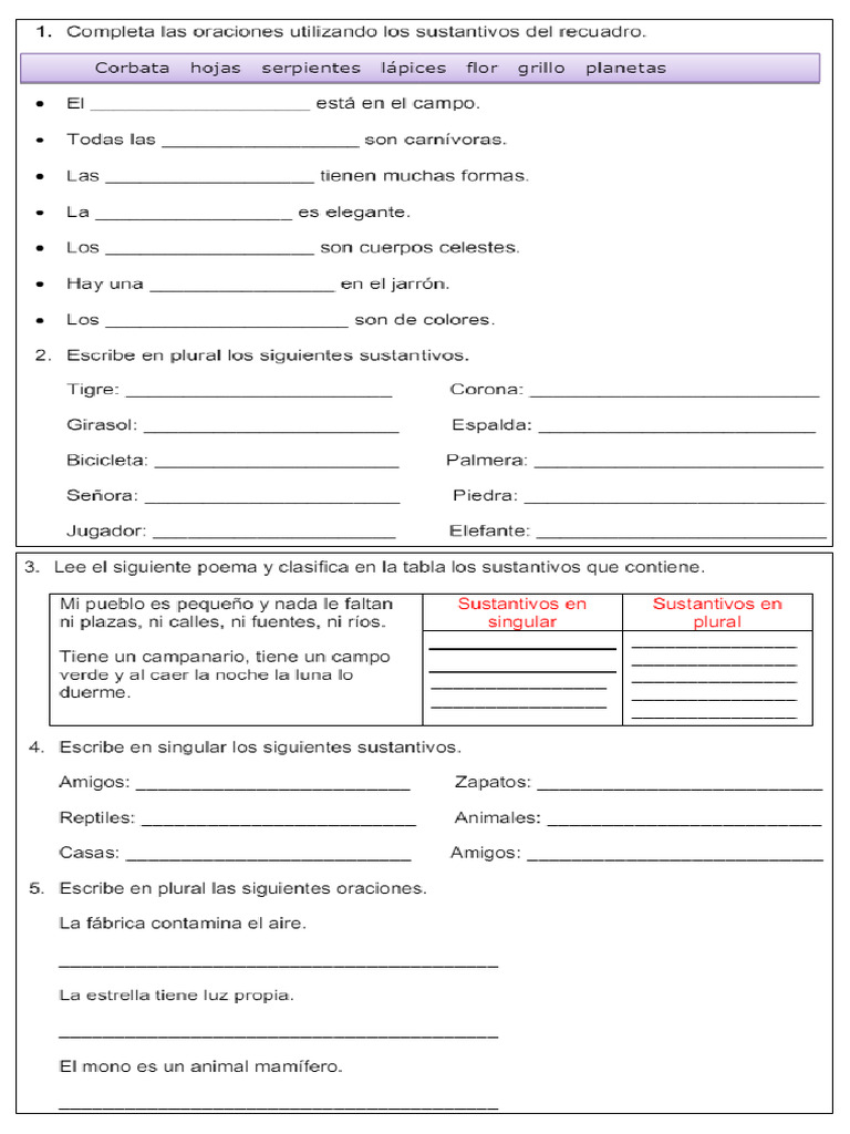 Genero y Numero Del Sustantivo | PDF