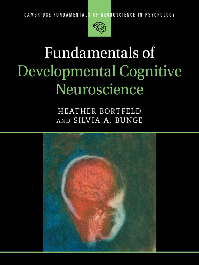 Fundamentals of Developmental Cognitive Neuroscience 978-1108712569 | PDF | Neuroplasticity ...