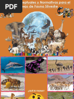 Apéndices de La CITES (General) PDF | PDF | Organismos | Familia