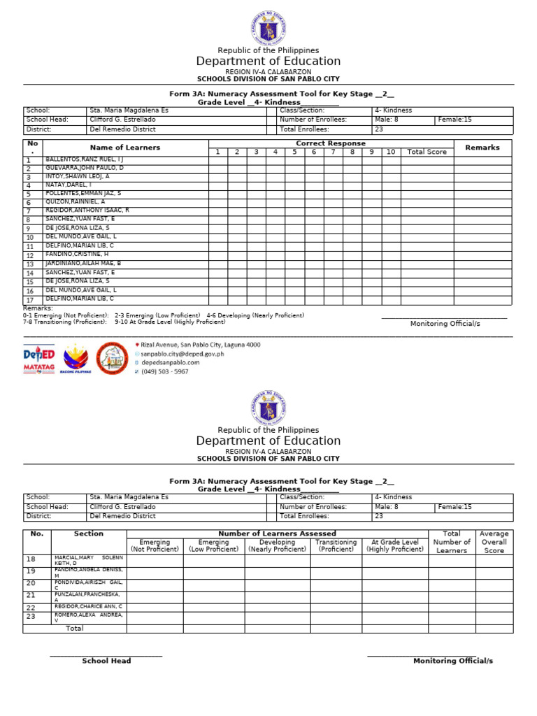 Numeracy Assessment Tool | PDF