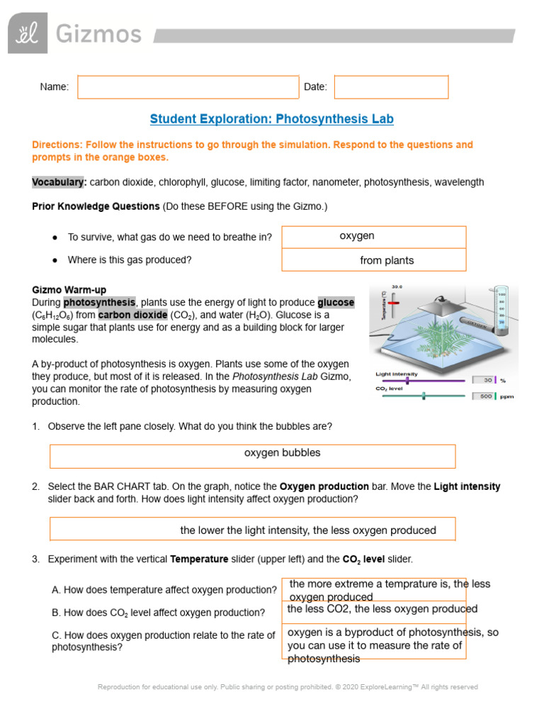 Photosynthesis Lab GIZMO PDF | PDF | Photosynthesis | Carbon Dioxide