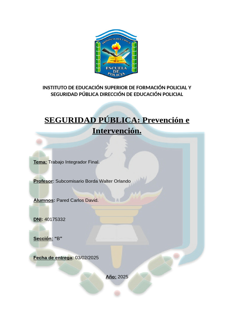 Seguridad Publica TIF | PDF | Policía | Cumplimiento de la ley
