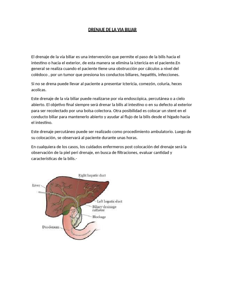 Drenaje de la Vía Biliar: Procedimientos y Cuidados | PDF