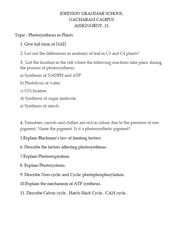 Photosynthesis in Plants Assignment | PDF