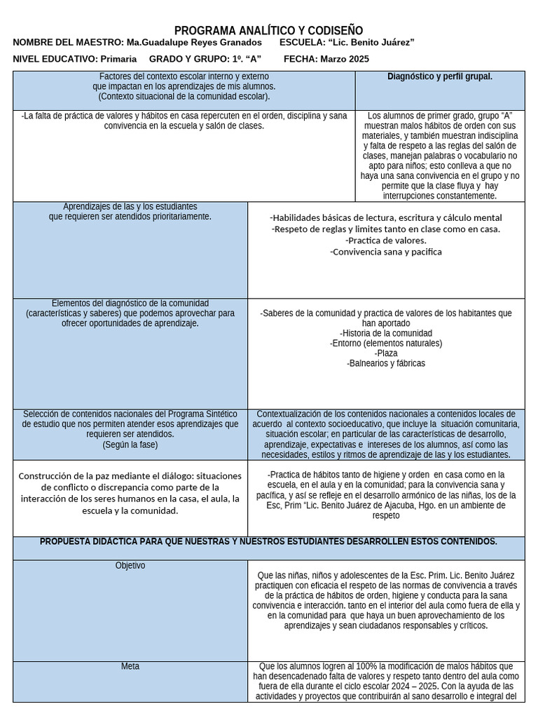 Formato Programa Analitico | PDF | Salón de clases | Escuelas