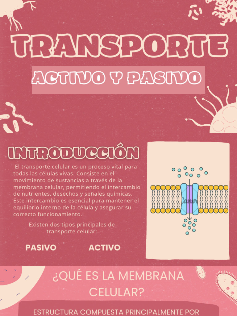 Transporte Celular: Activo y Pasivo | PDF | Biología Celular | Bioquímica