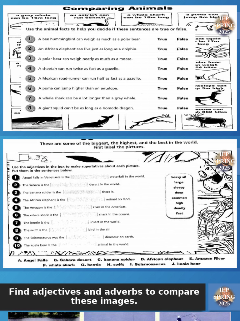 Comparatives and Superlatives | PDF | Adjective | Adverb