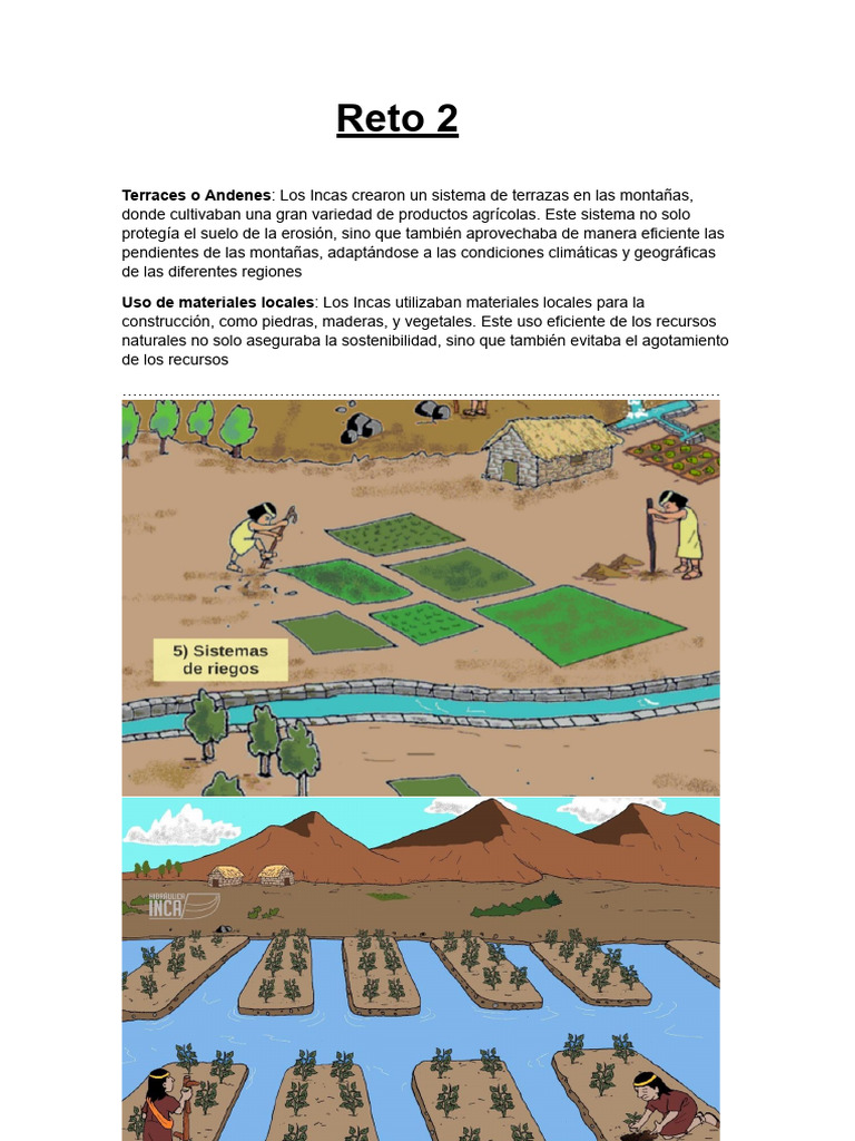 Andenes Incas: Cultivo en Terraces | PDF