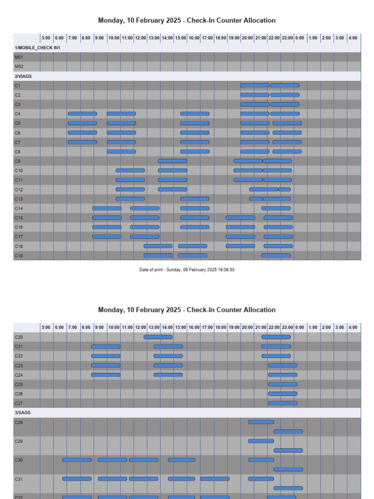 CheckinGantt 10FEB25 REV01 | PDF