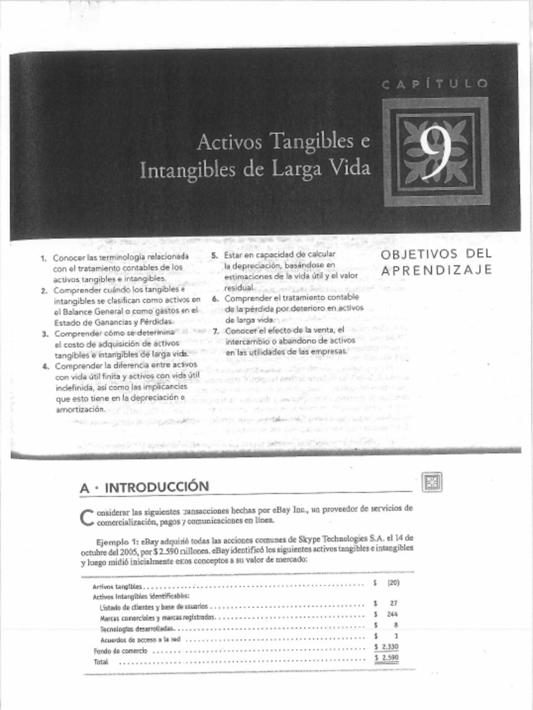 CL3-activos tangibles e intangibles | PDF