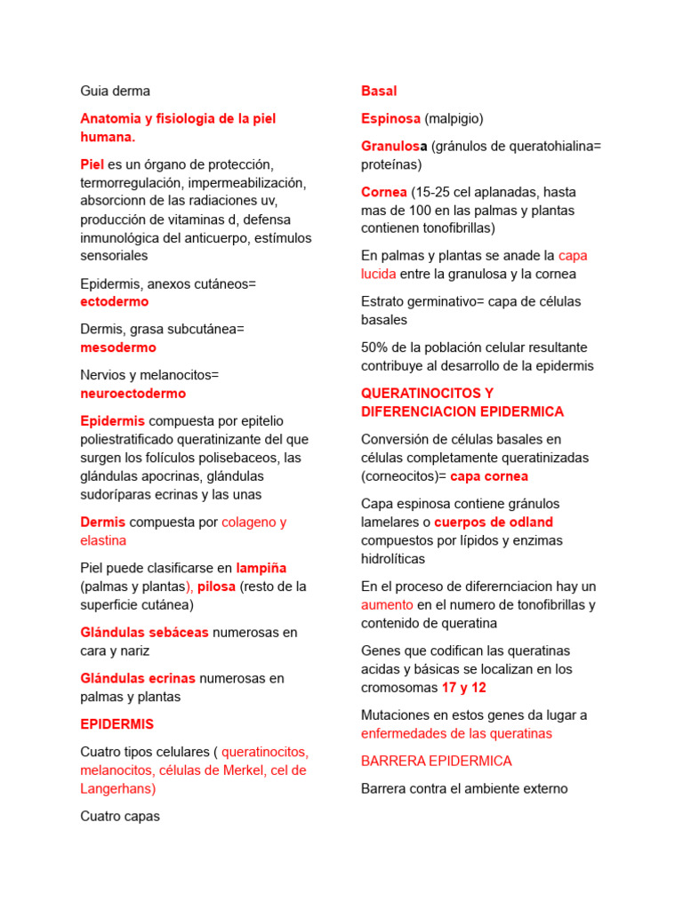 Guia Derma | PDF | Piel | Epidermis