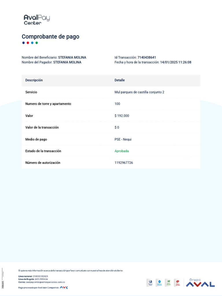 Formato Pagos Aval | PDF